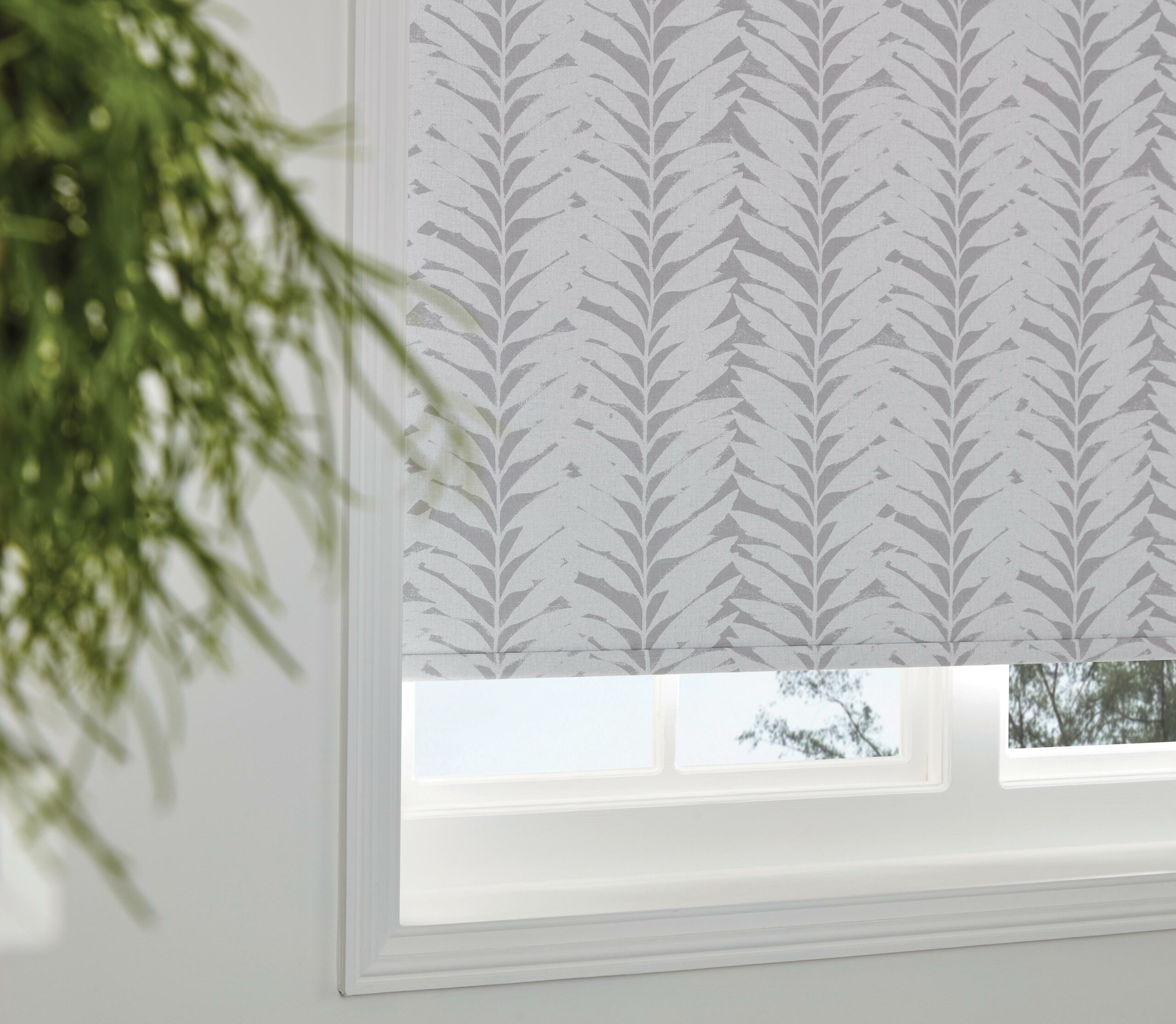 Standard Roller Blinds – Highline Blinds